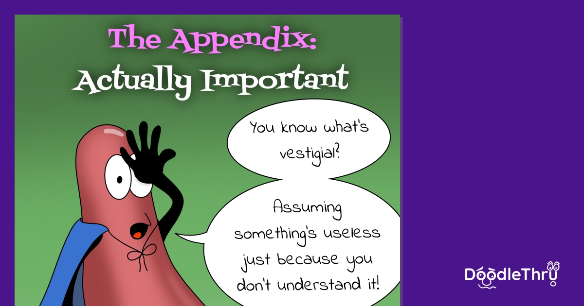 The Appendix: Actually Important